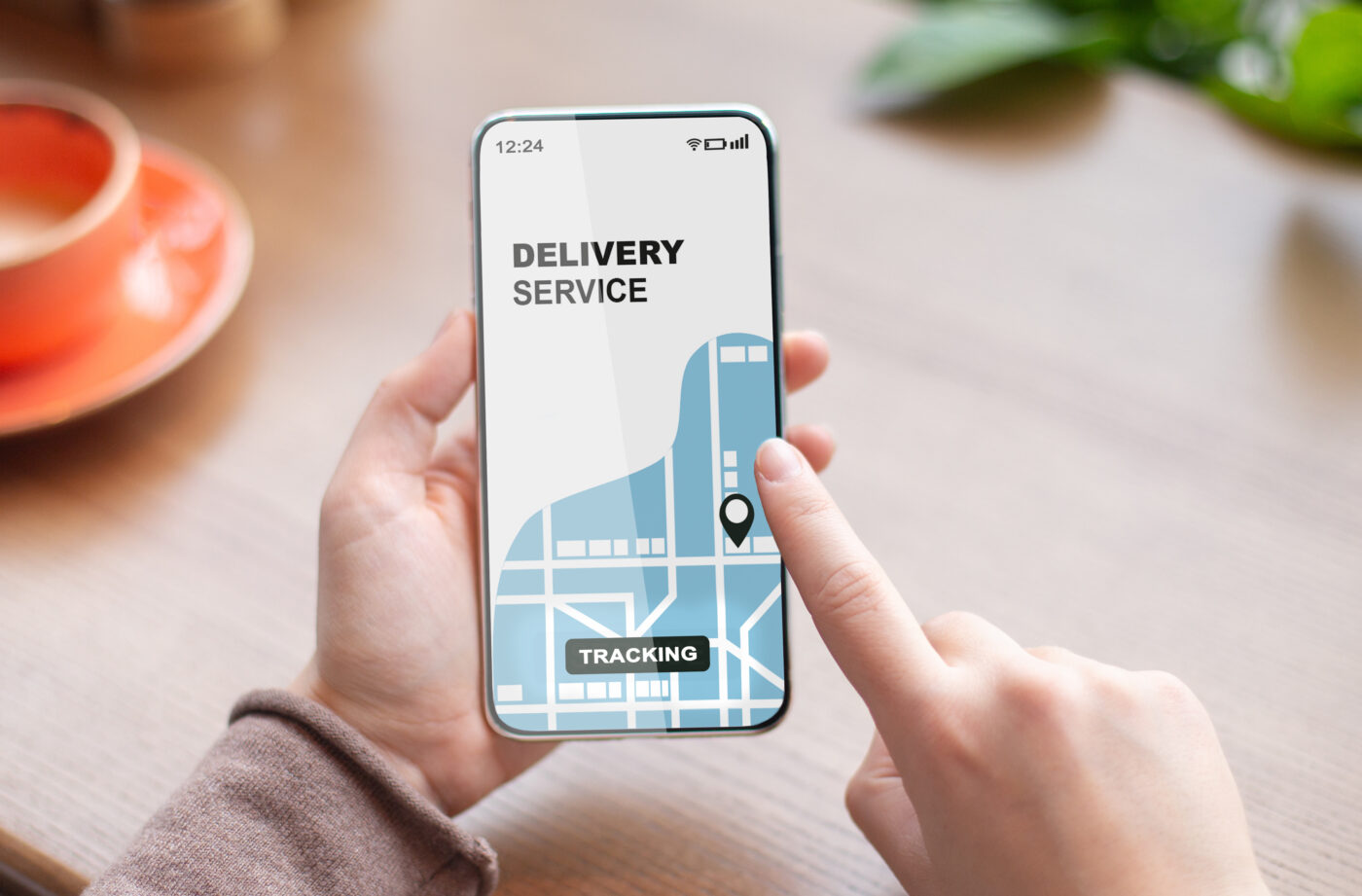 Post-Purchase Customer Experience - ITinSell Software